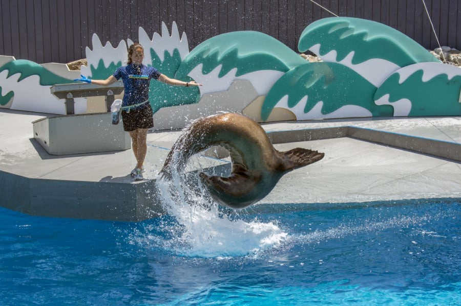 Visit the NY Aquarium for World Oceans Day Celebration on June 7 and 8 ...