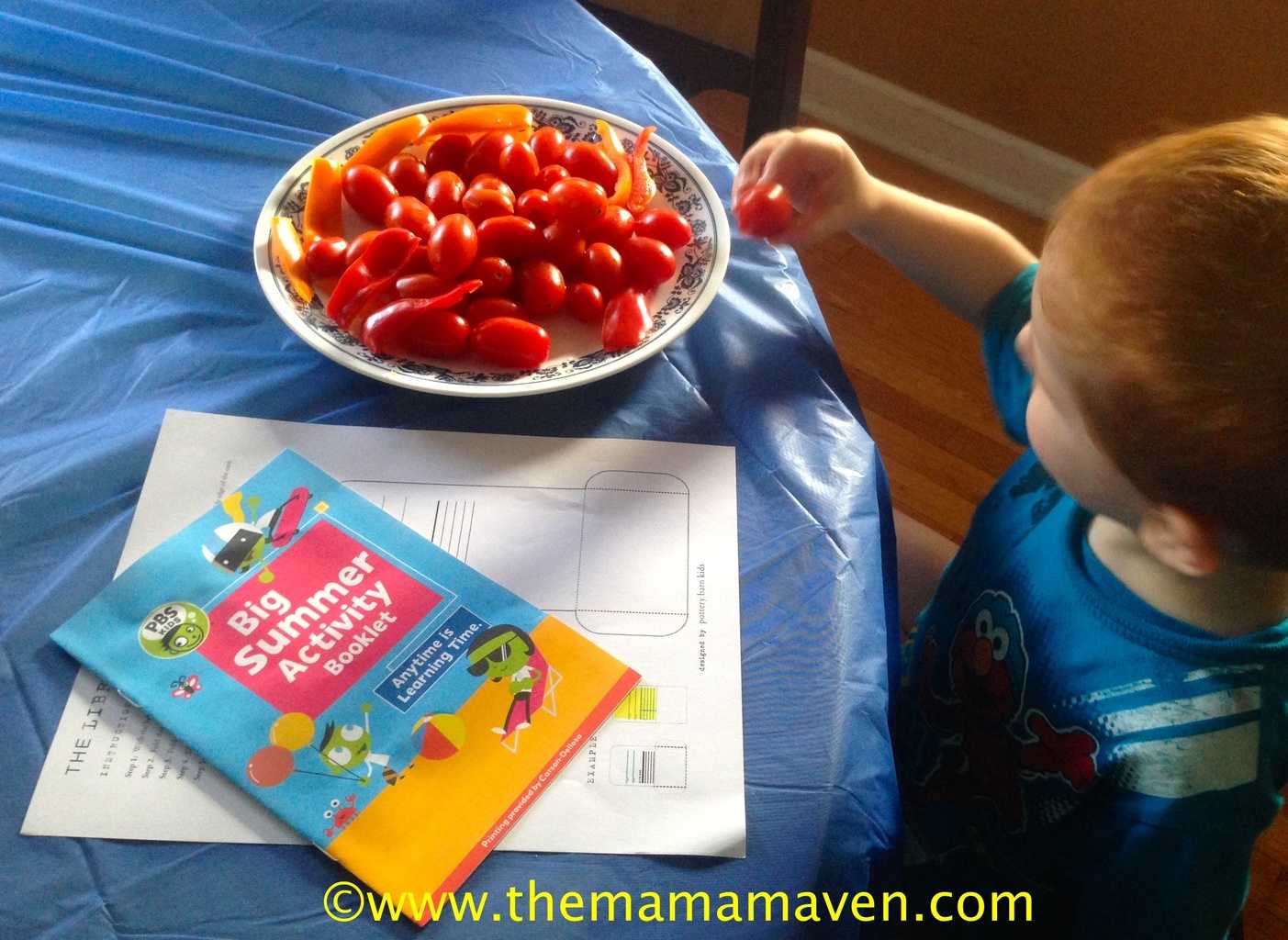 See Our PBS Kids Summer Learning Party: With Printable & Online ...