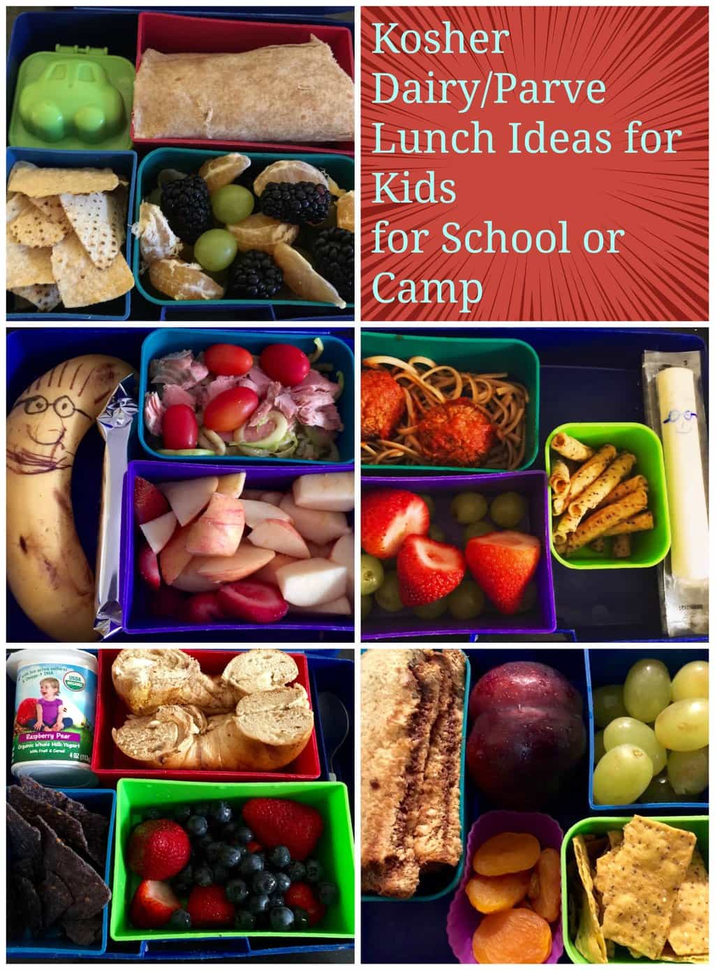 Dairy/Parve Lunch Ideas for Kosher Schools