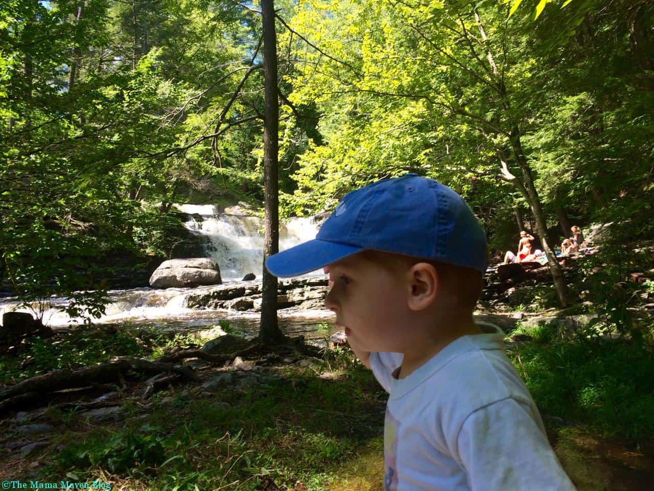 Hiking with Kids at Childs Park in the Poconos, PA - The Mama Maven Blog