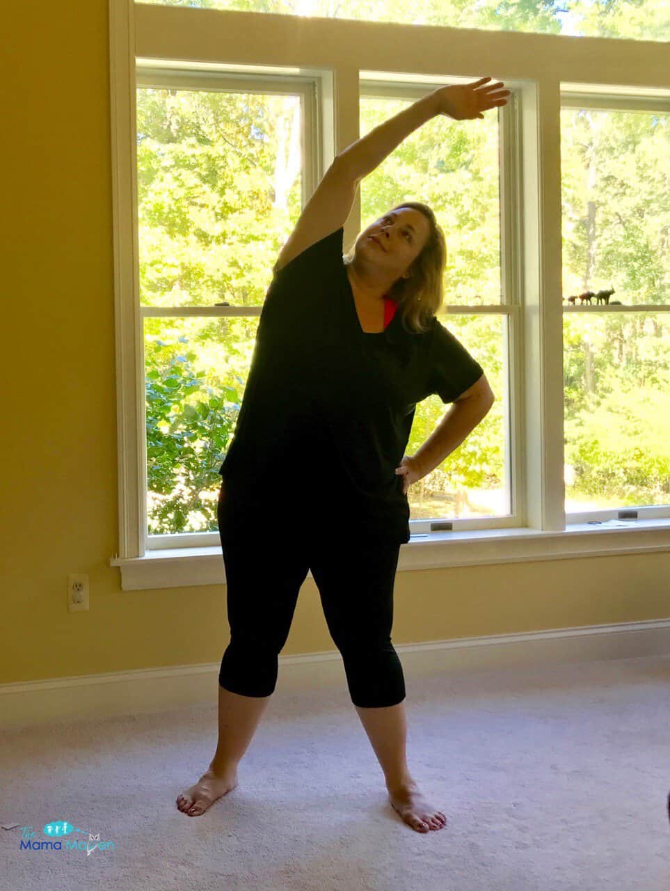 Review: Body Boss Ultimate Body Fitness Guide