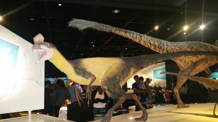 Special Exhibit: T-Rex: The Ultimate Predator at American Museum of ...