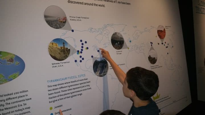 Special Exhibit: T-Rex: The Ultimate Predator at American Museum of ...