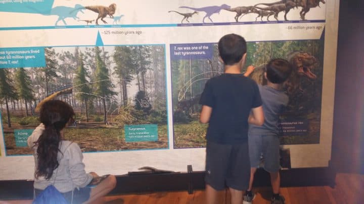 Special Exhibit: T-Rex: The Ultimate Predator at American Museum of ...