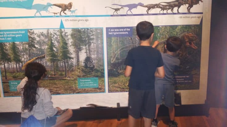 Special Exhibit: T-Rex: The Ultimate Predator at American Museum of ...