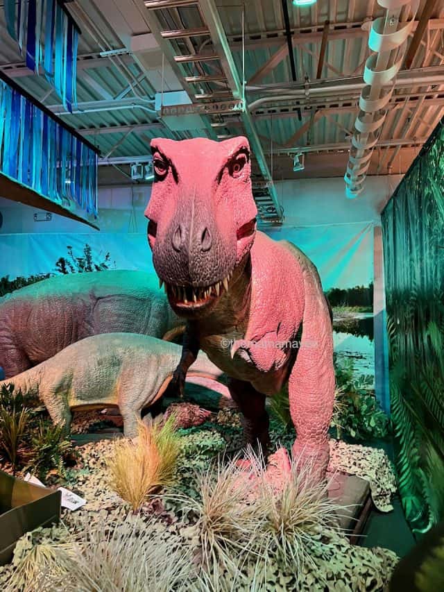 Don't Miss the Age of the Dinosaurs Exhibit at The Long Island Children ...