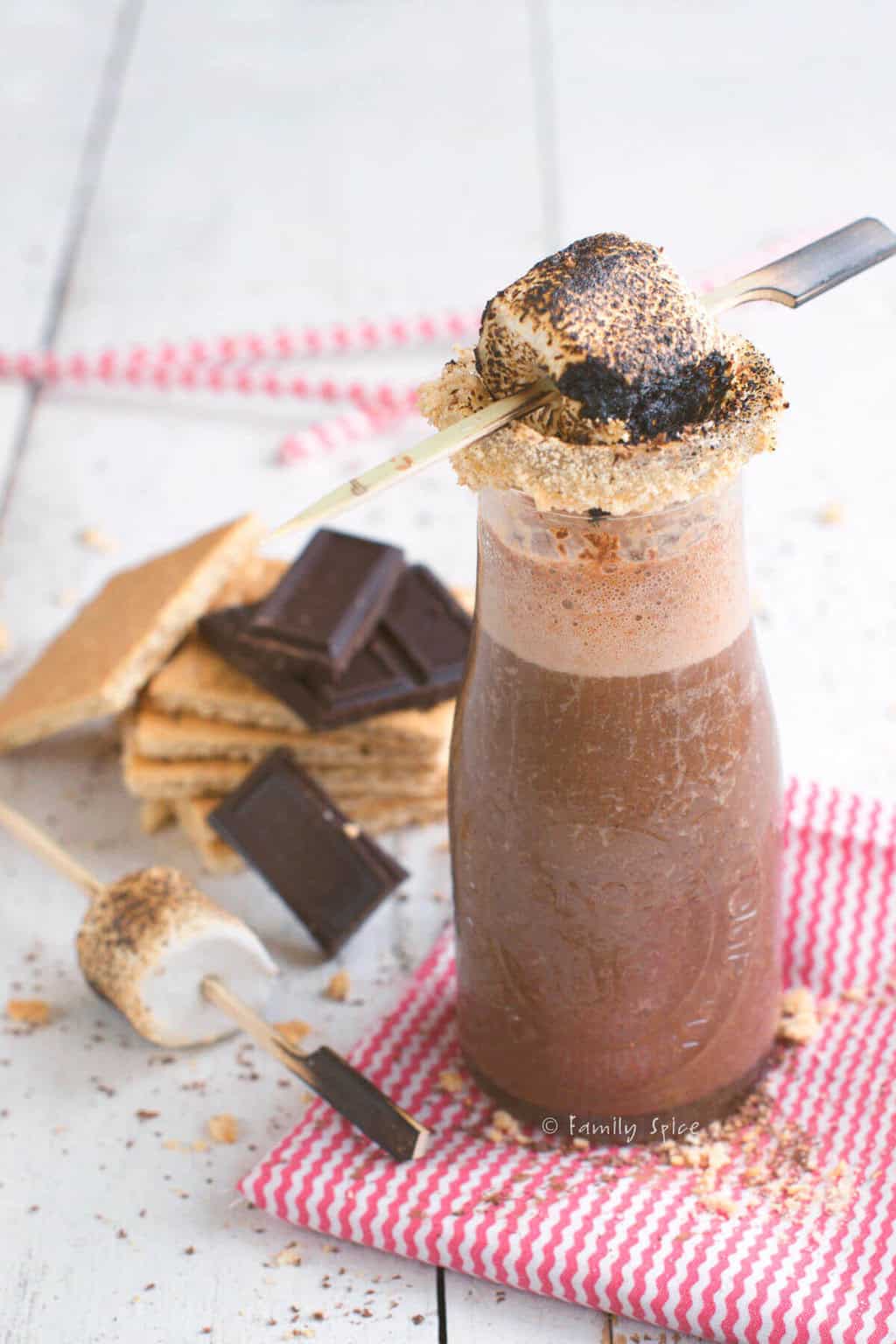 Air Fryer S'Mores + 25 S'Mores Inspired Recipes - The Mama Maven Blog