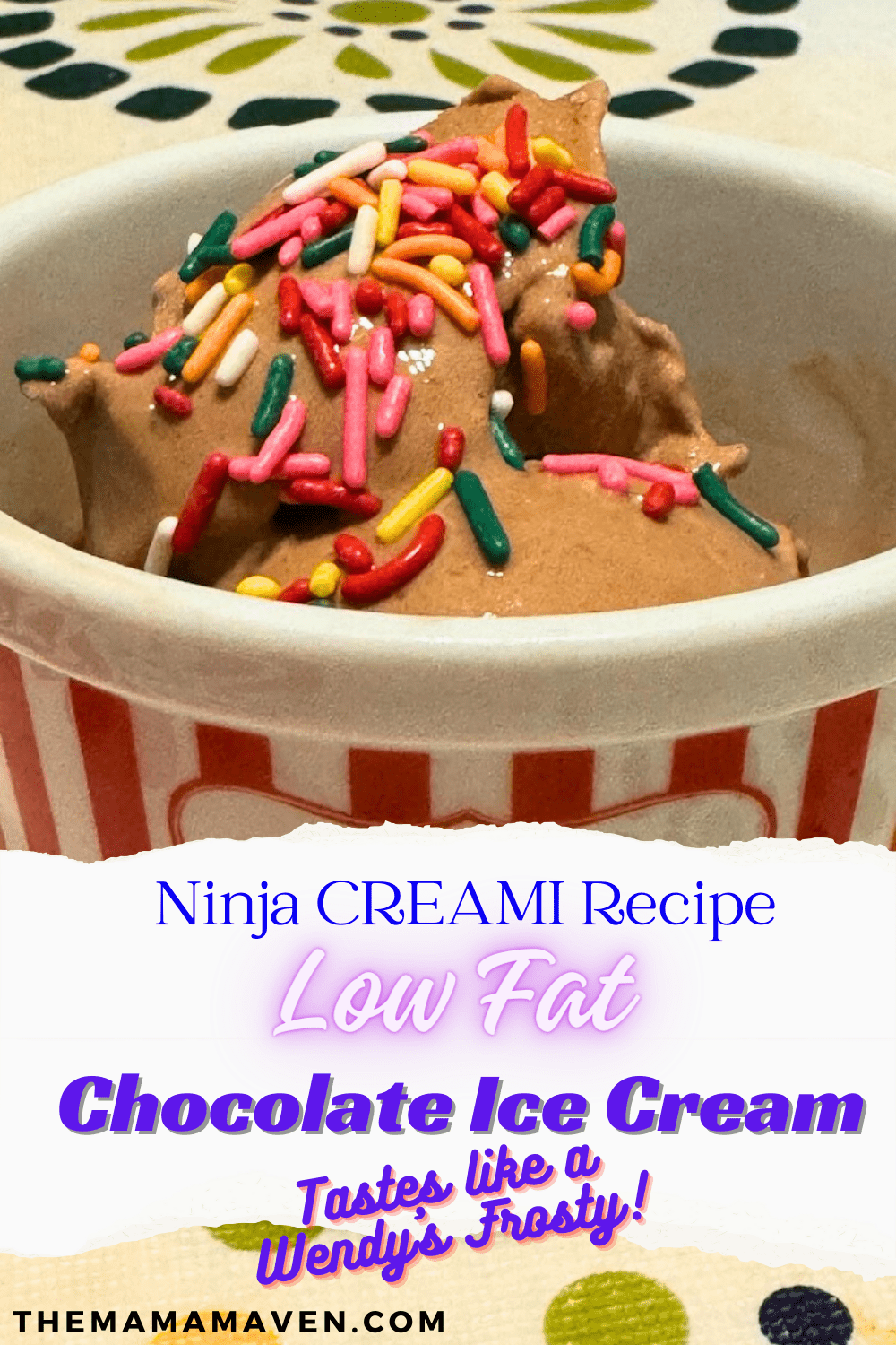 Ninja CREAMI Low Fat Chocolate Ice Cream - The Mama Maven Blog