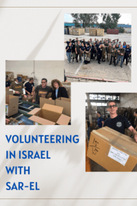 Volunteering in Israel with Sar-El - The Mama Maven Blog